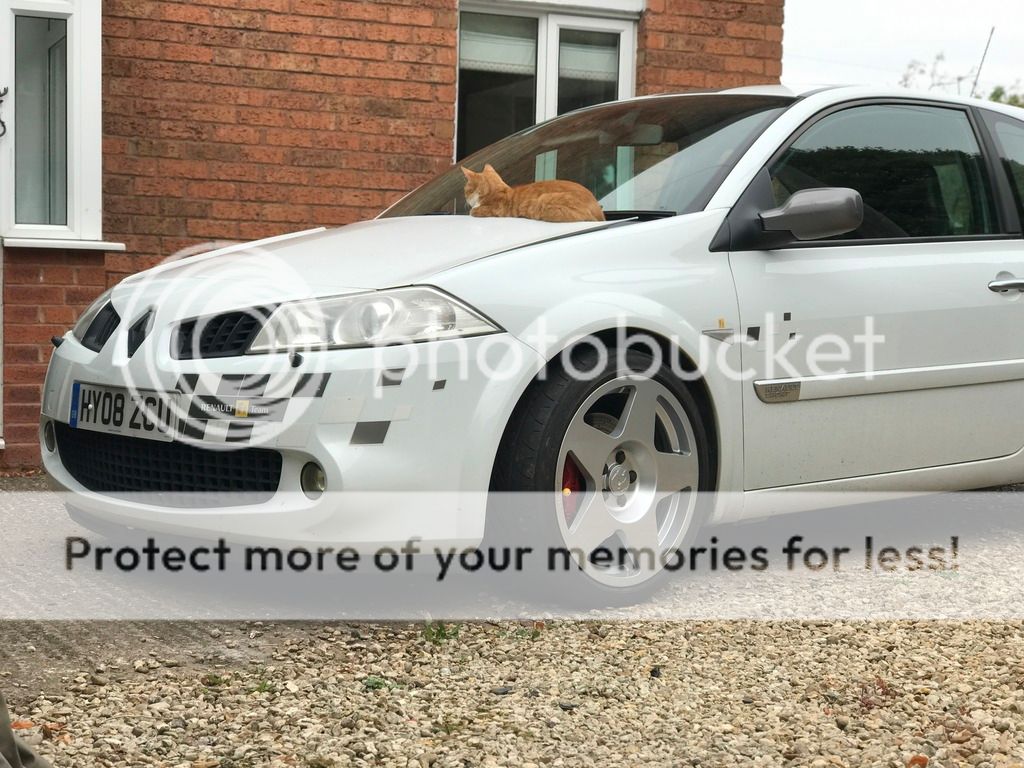 White Megane R26 Daily / Track project | RSMegane.com