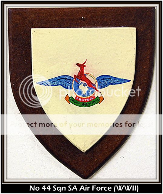 The SAAF Forum • View topic - SAAF Reference Photos: Squadron Insignia